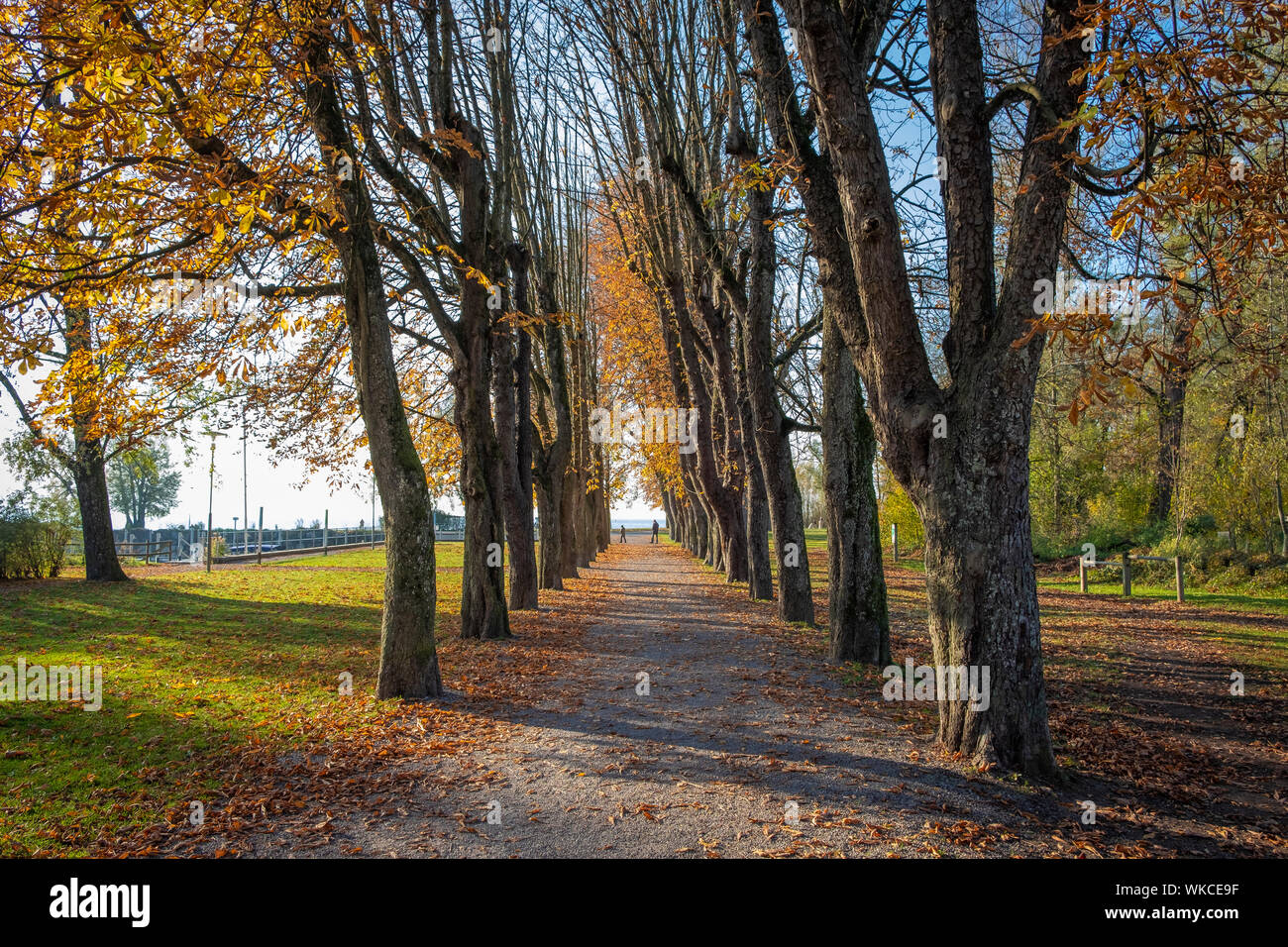 Lochau am bodensee hi-res stock photography and images - Alamy