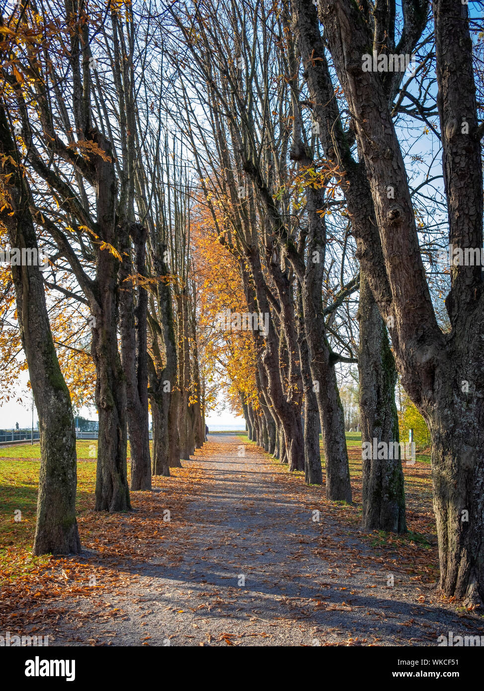Pfander am bodensee hi-res stock photography and images - Alamy
