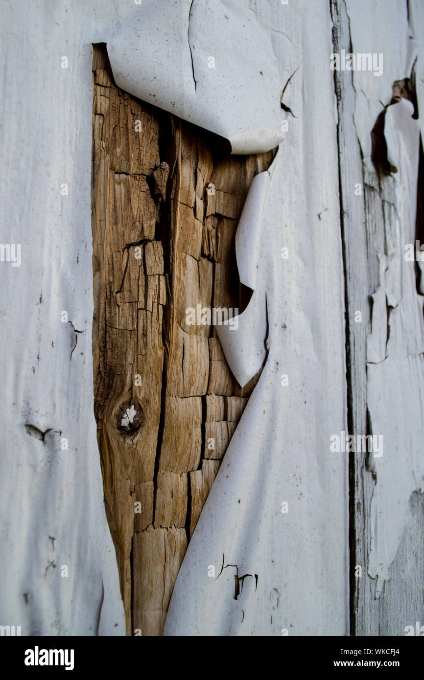 Rotting wooden structure hi-res stock photography and images - Alamy