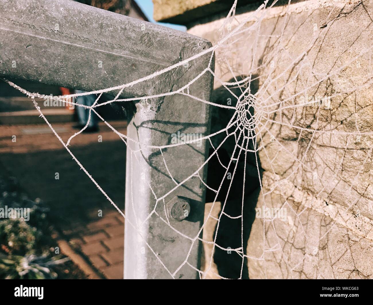 Web structure hi-res stock photography and images - Alamy