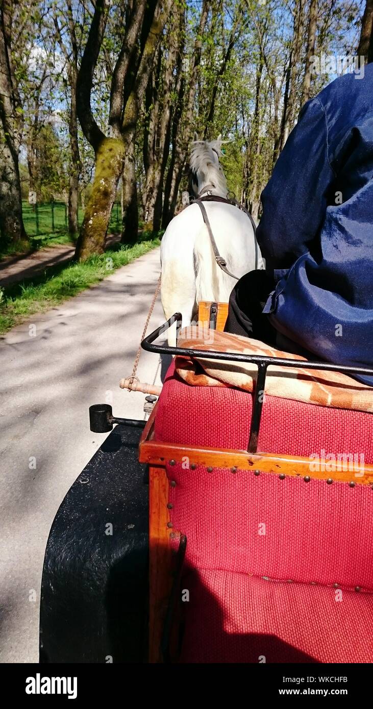 Man riding cart hi-res stock photography and images - Alamy