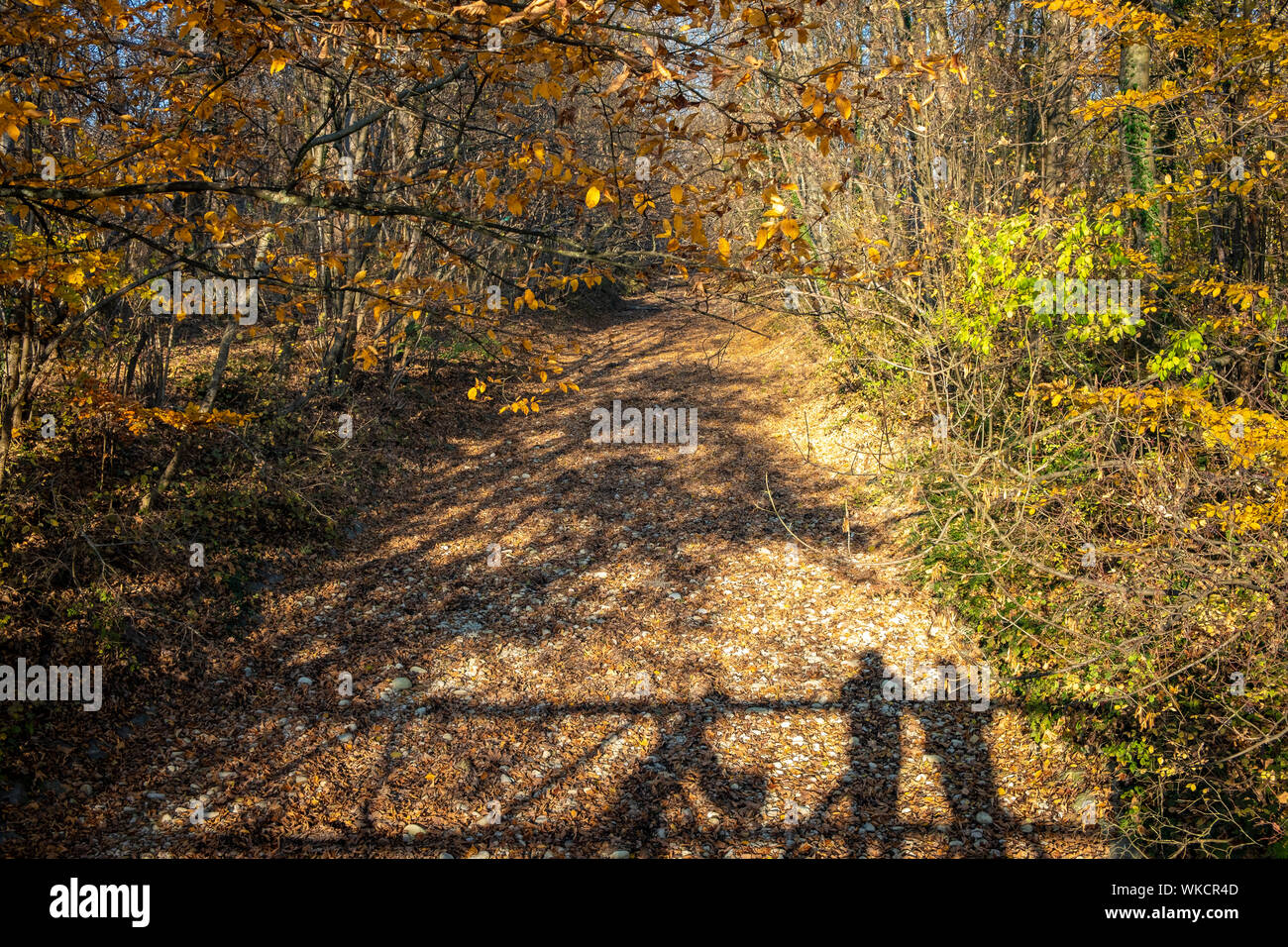 Lochau am bodensee hi-res stock photography and images - Alamy