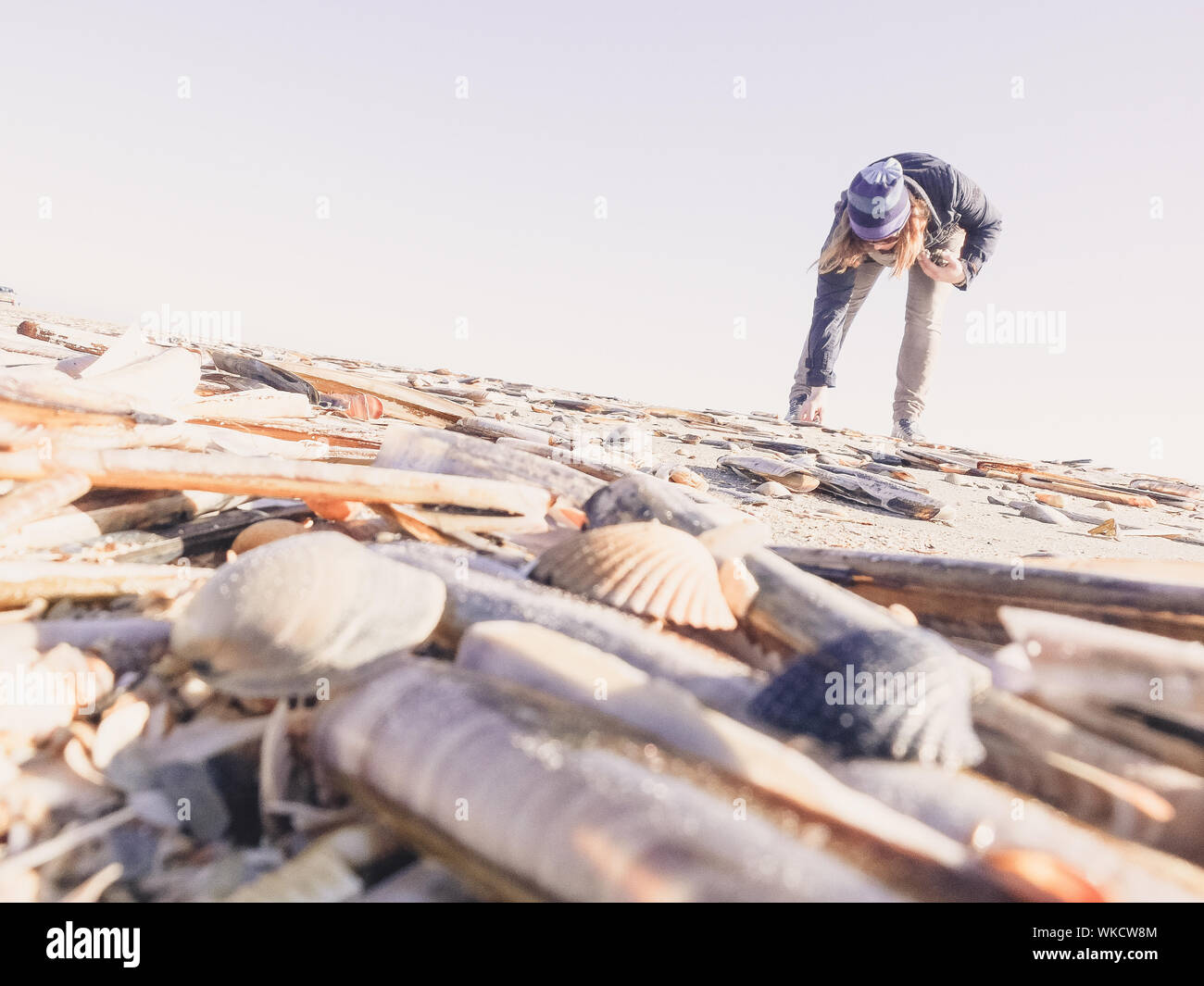 Razor clams beach hi-res stock photography and images - Alamy