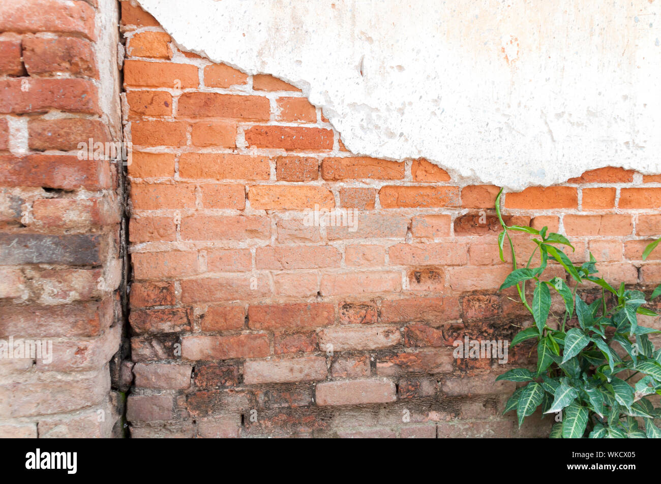 Red brick plant hi-res stock photography and images - Alamy