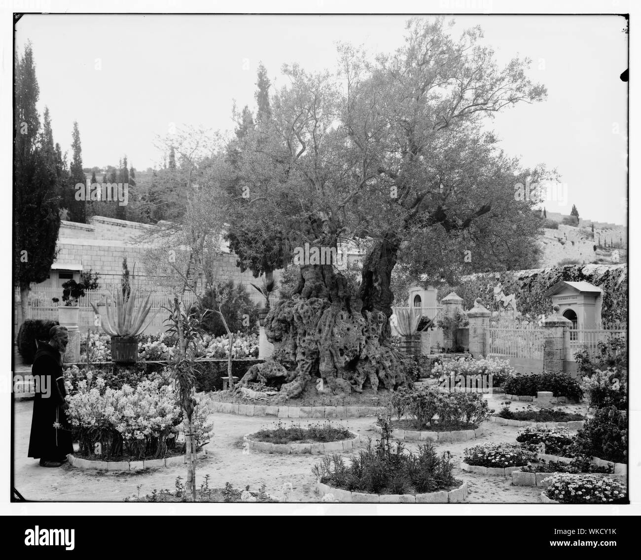 Garden gethsemane jesus Black and White Stock Photos & Images - Alamy