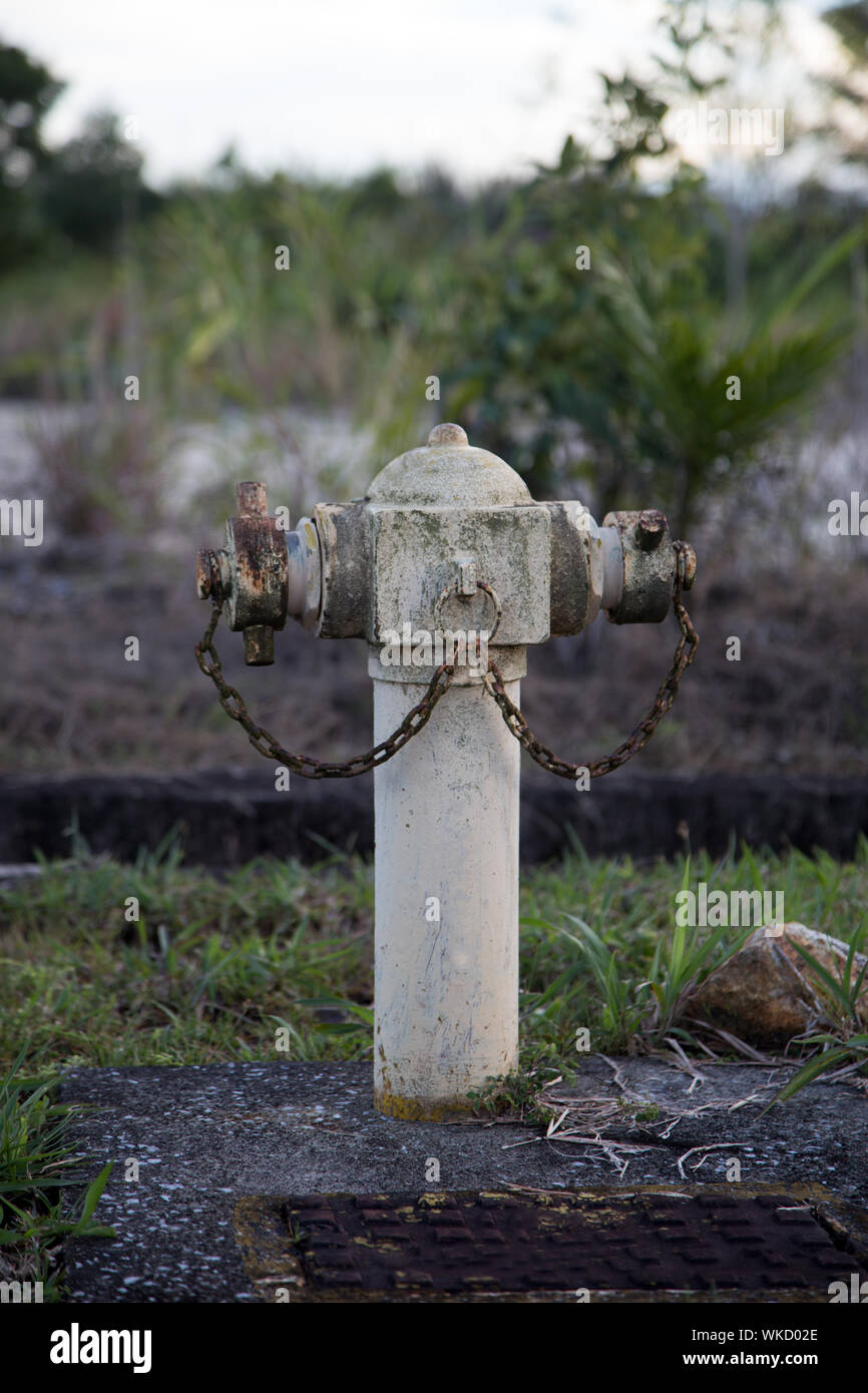 A rusting fire hydrant in Sarawak Borneo Stock Photo - Alamy