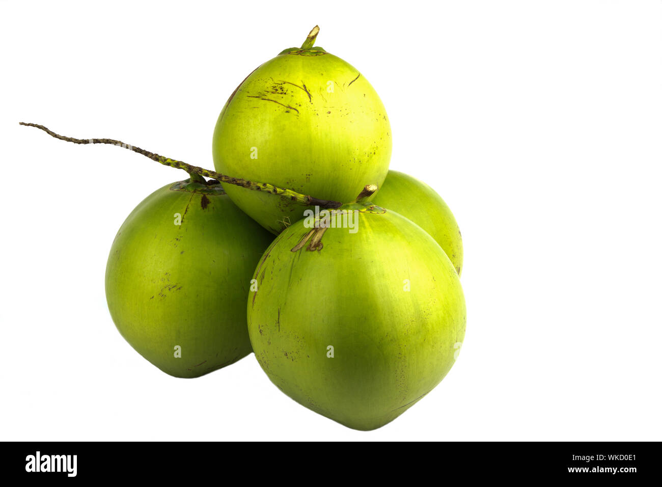 A stack of fresh young coconuts isolated on white Stock Photo - Alamy