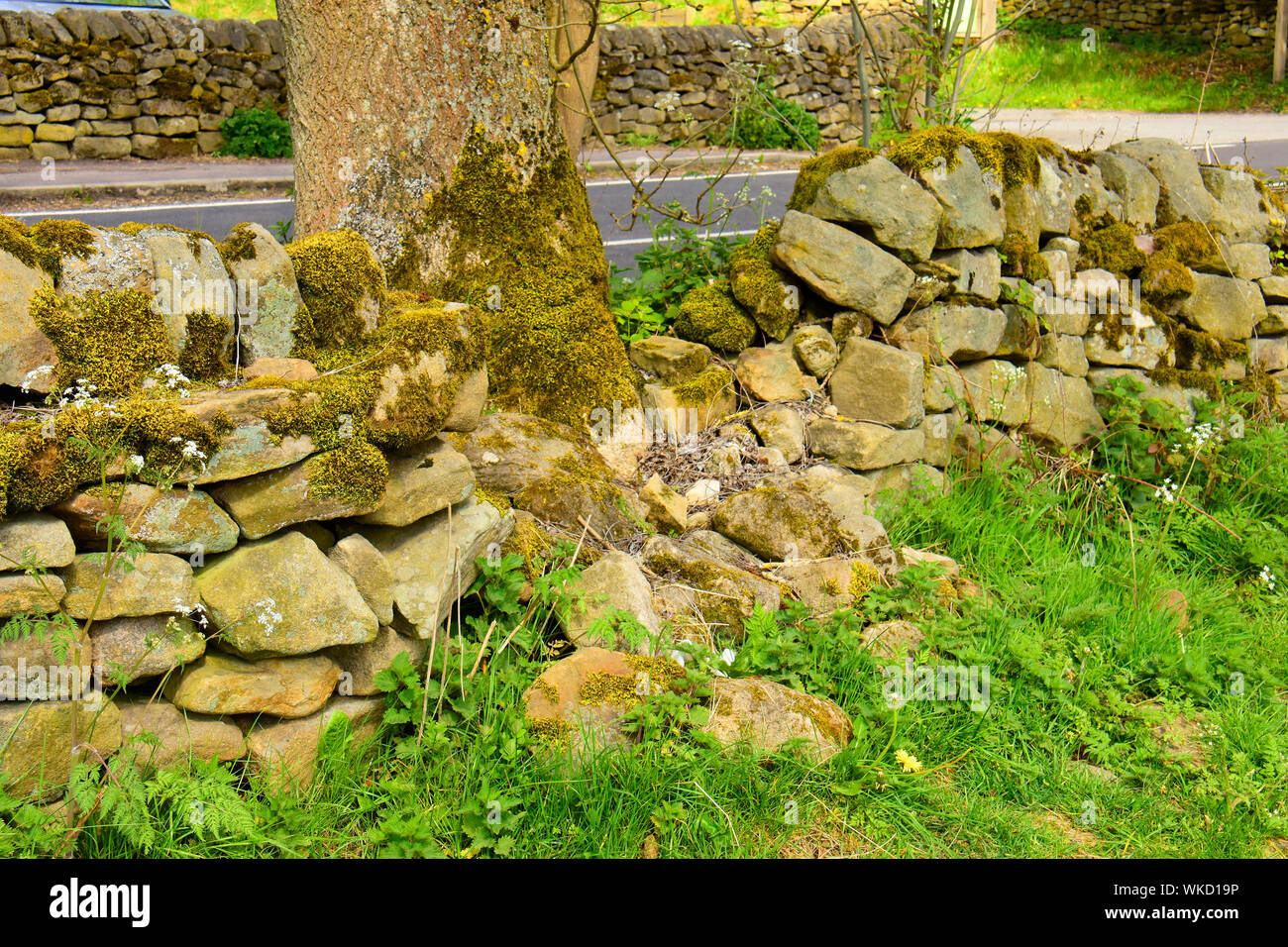 Construction of pastures hi-res stock photography and images - Alamy