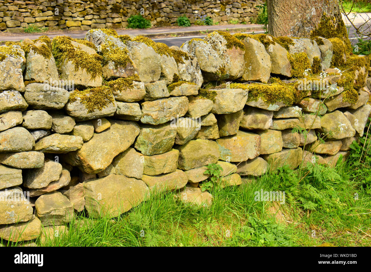 A dry-stone wall, build without cement, to divide fields and pastures ...