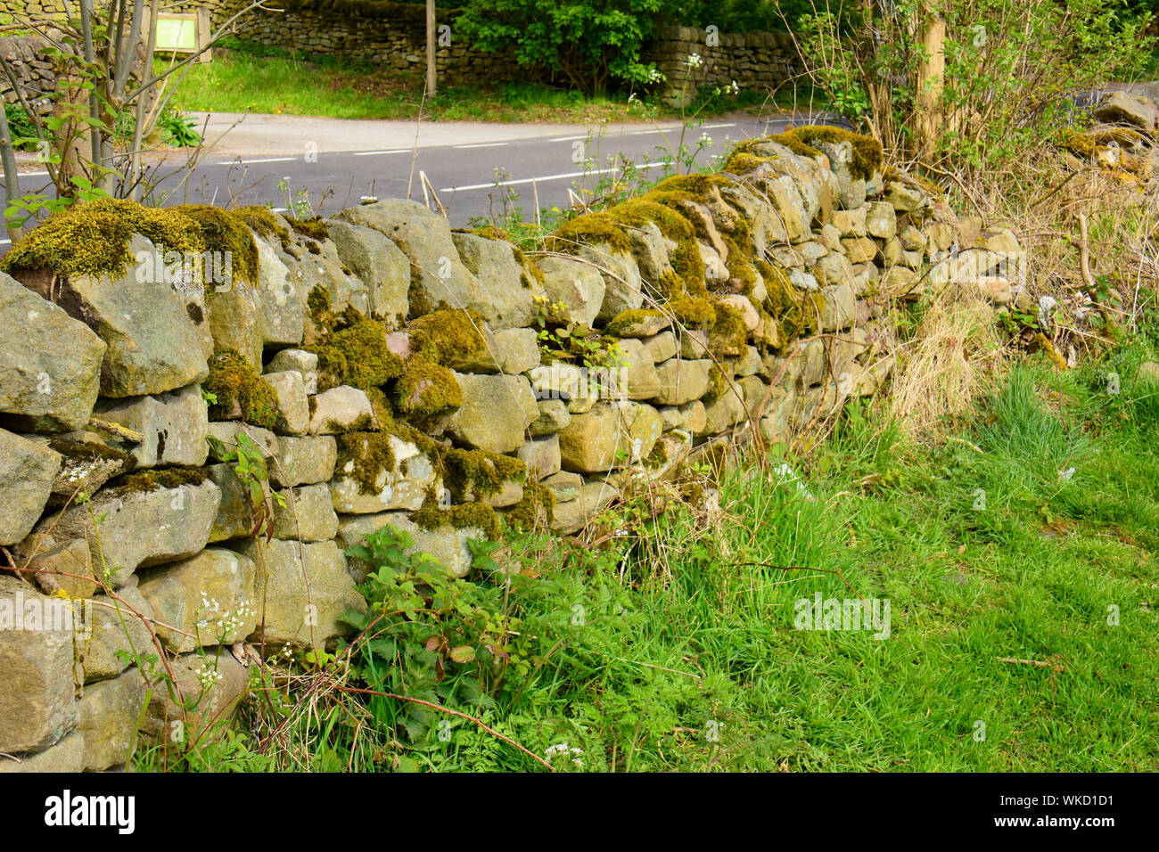 A dry-stone wall, build without cement, to divide fields and pastures ...