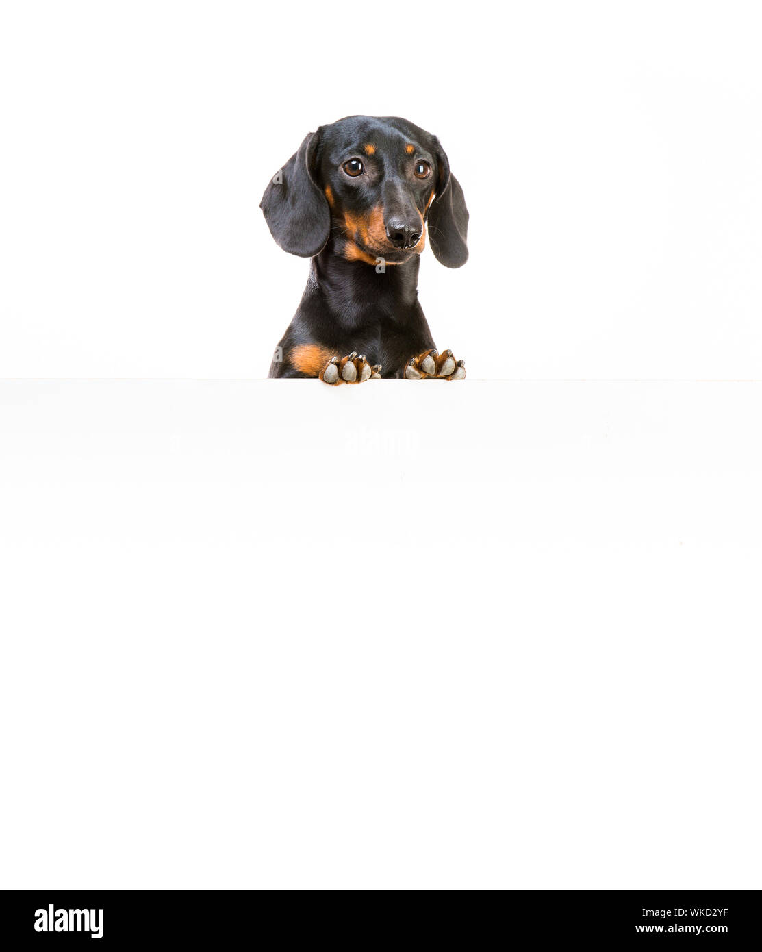 0054 hi-res stock photography and images - Alamy