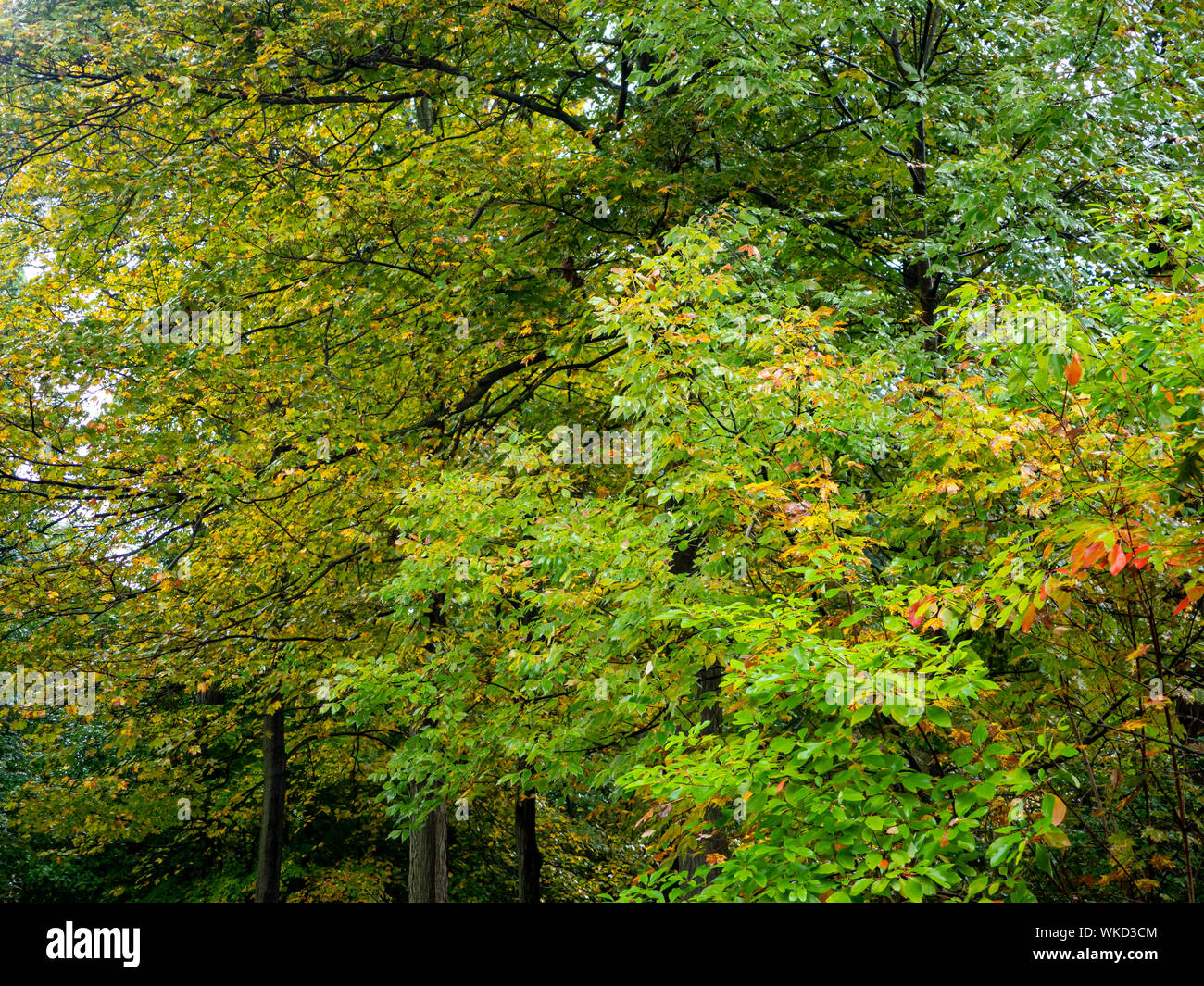 Change color hi-res stock photography and images - Alamy