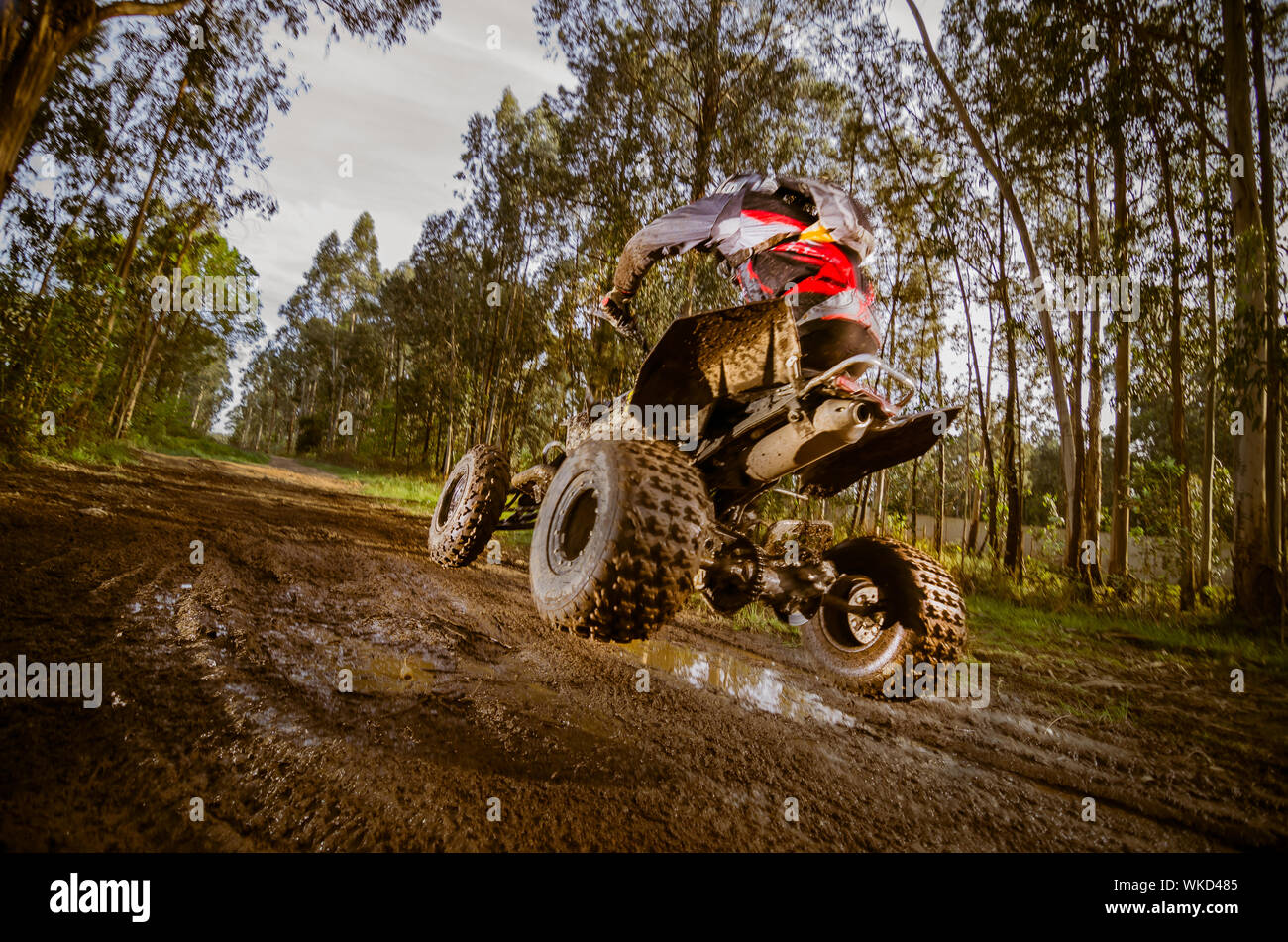 Quad rider jumping on a muddy forest trail Stock Photo - Alamy