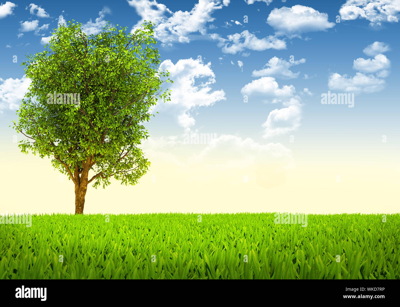 Tree and green landscape. Beautiful natural background Stock Photo - Alamy