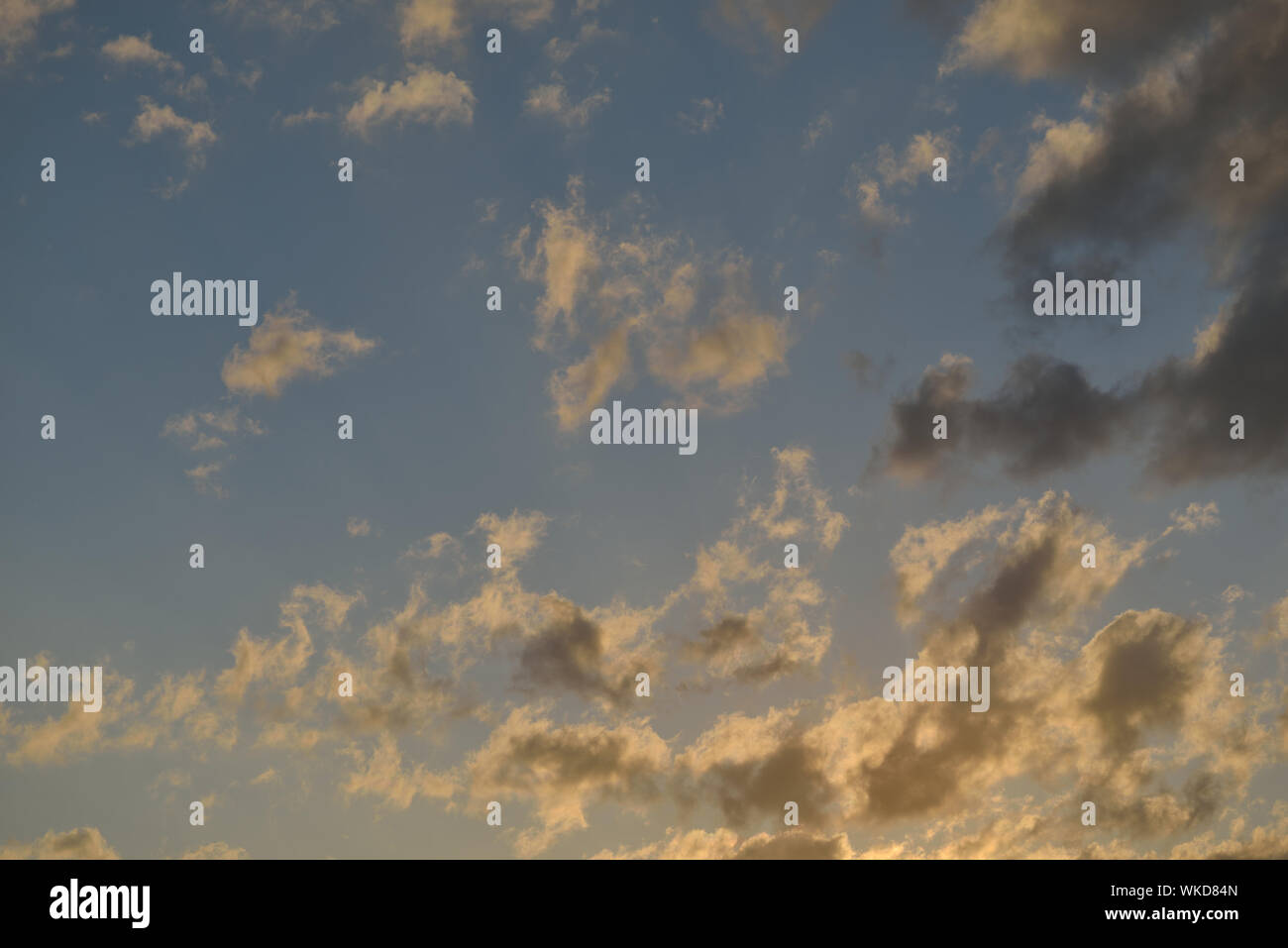 Evening blue sky. Clouds and sunset gold color Stock Photo - Alamy