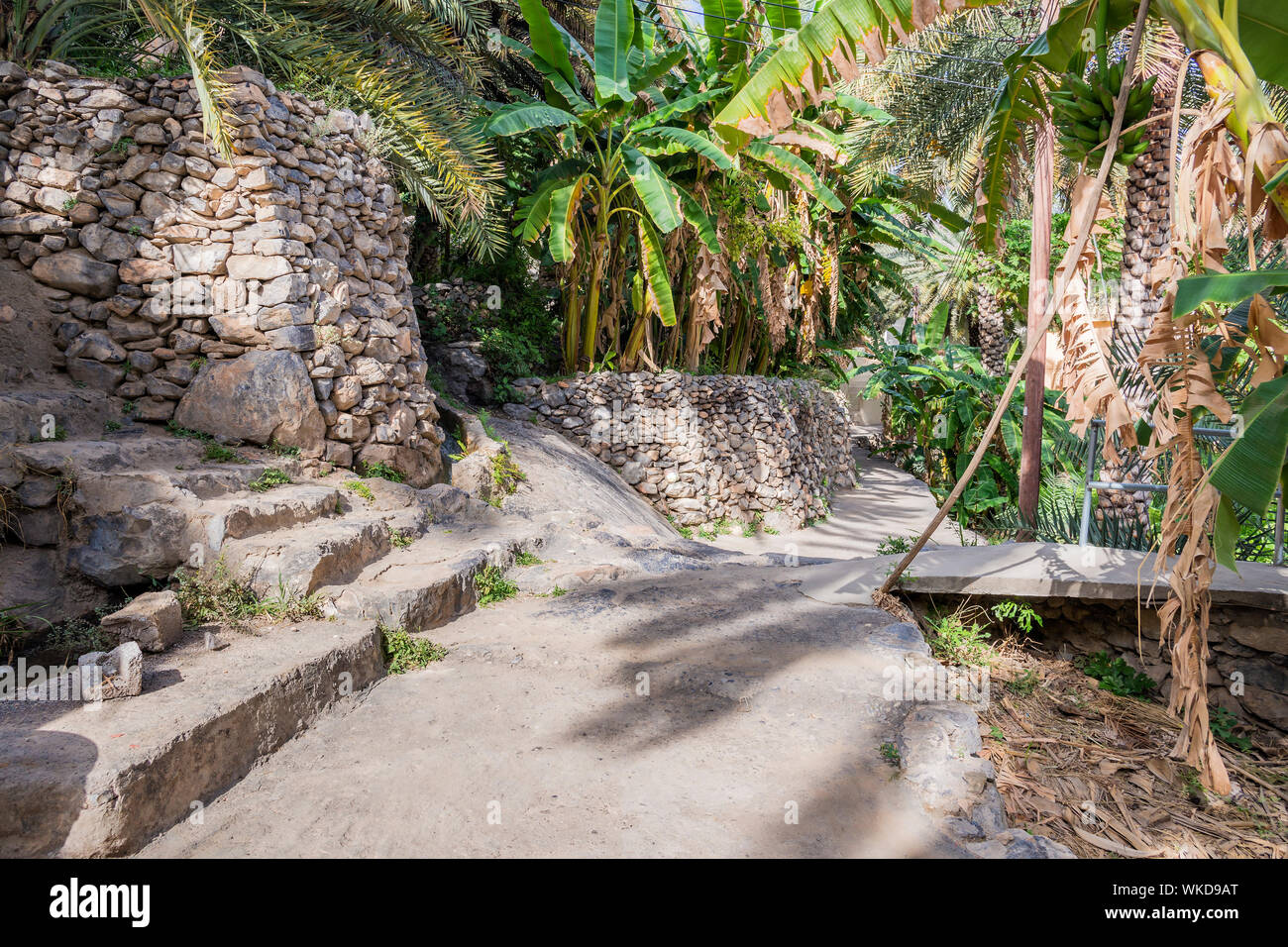 Image of a path in Misfah al abreyeen in Oman Stock Photo - Alamy