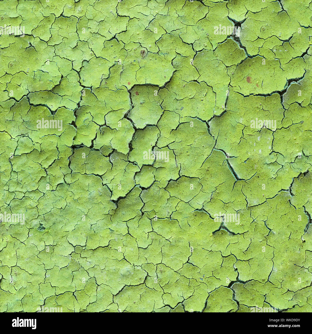 Seamless grunge green texture with cracks and stains Stock Photo - Alamy