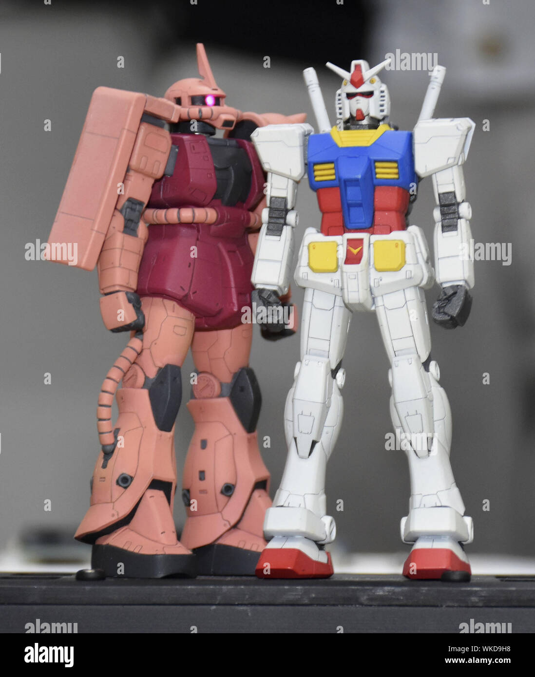 Photo taken in Shizuoka, central Japan, on Sept. 4, 2019, shows model ...