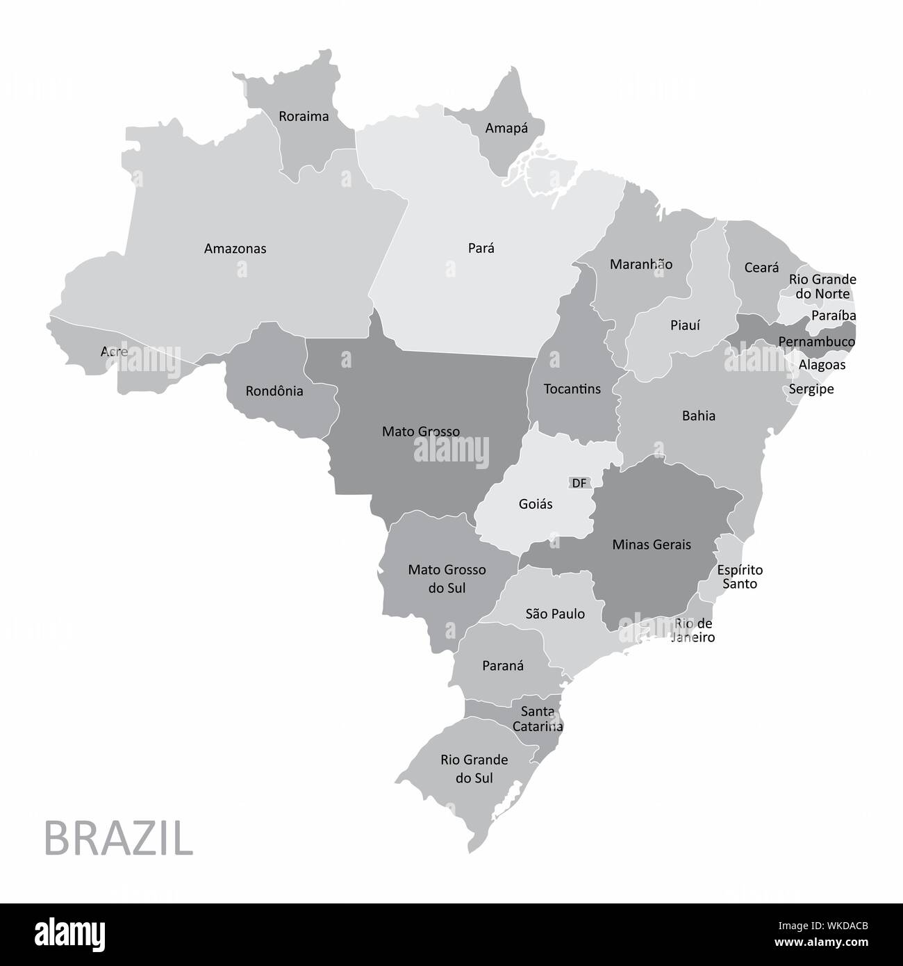 The Brazil map divided into states with labels Stock Vector Image & Art ...