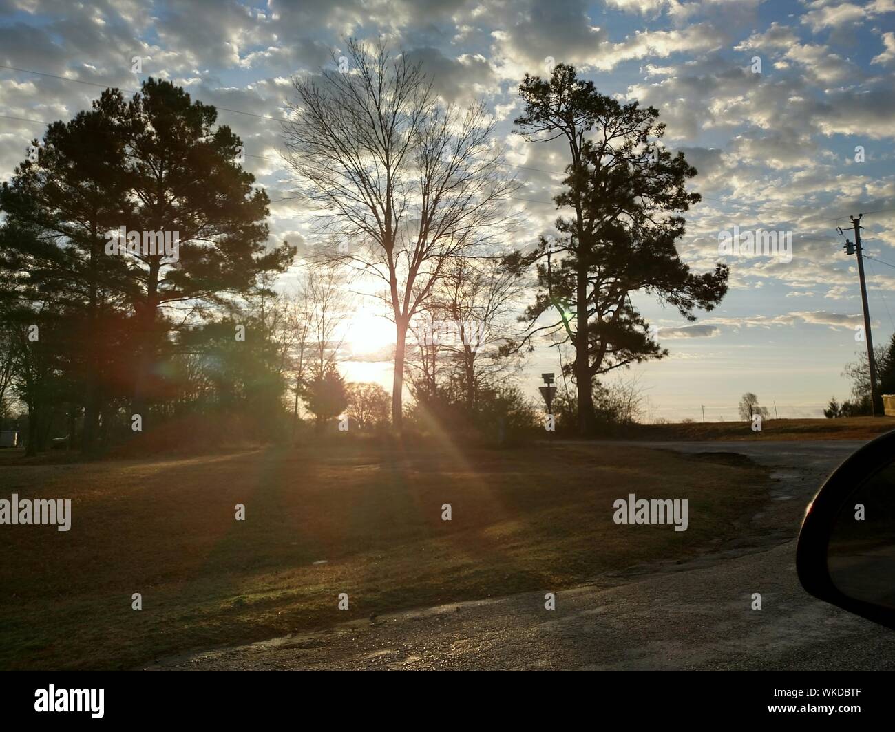 Trees Back Lit By Setting Sun Stock Photo - Alamy