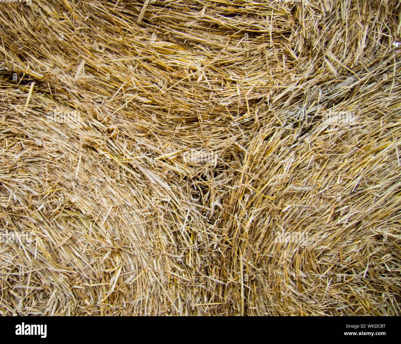 Hay bales full frame hi-res stock photography and images - Alamy