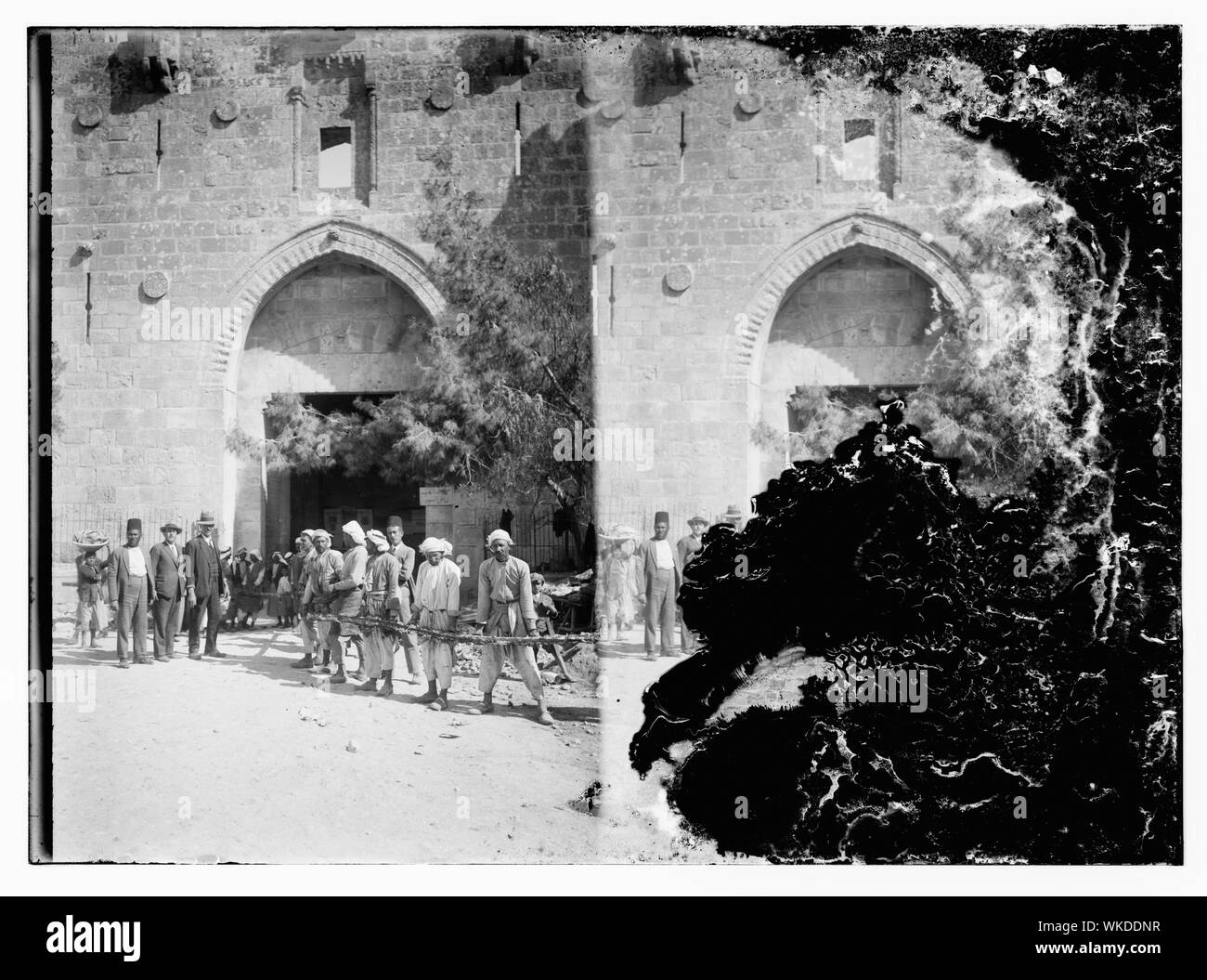 Jerusalem distribution Cut Out Stock Images & Pictures - Alamy