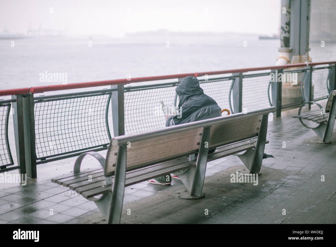 Man On Bench Reading Newspaper High Resolution Stock Photography and ...