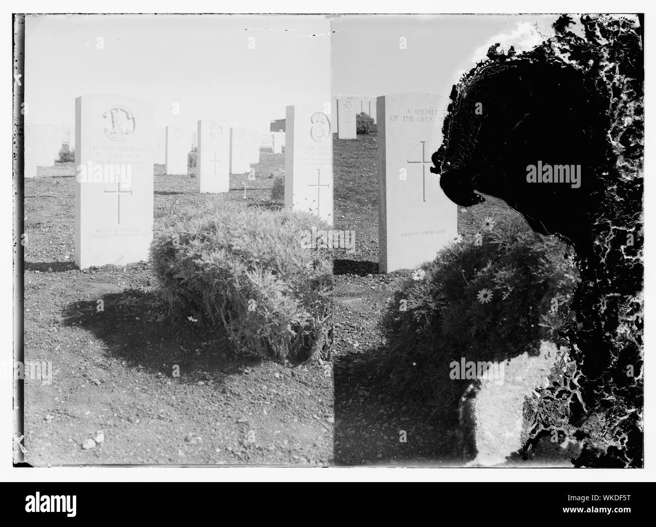 Jerusalem cemetery Cut Out Stock Images & Pictures - Alamy