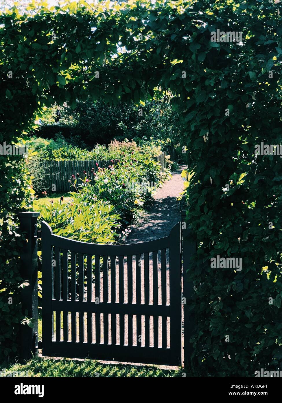 Plants gate hi-res stock photography and images - Alamy
