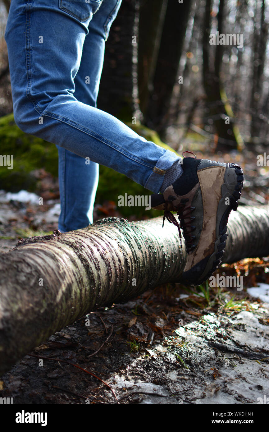 Walking up log hi-res stock photography and images - Alamy