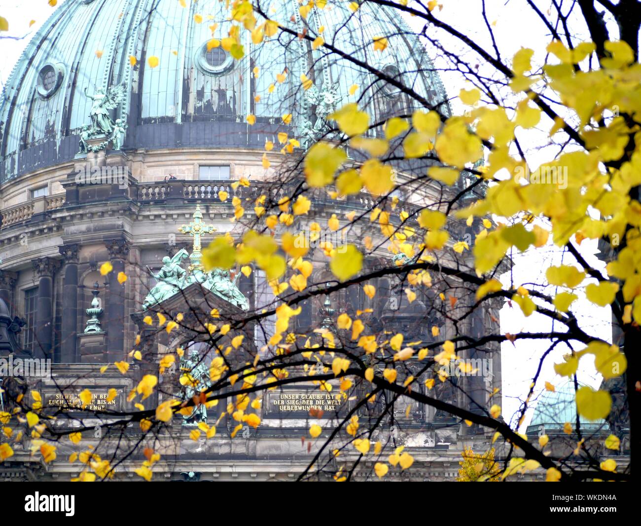 Building branch hi-res stock photography and images - Alamy