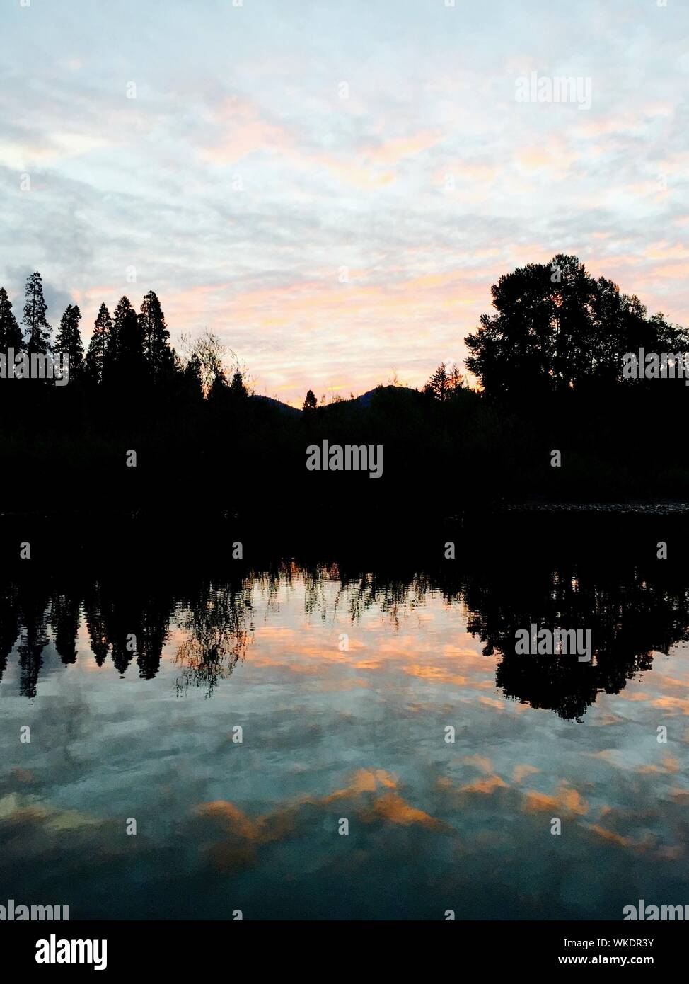 Silhouettes of trees by water hi-res stock photography and images - Alamy