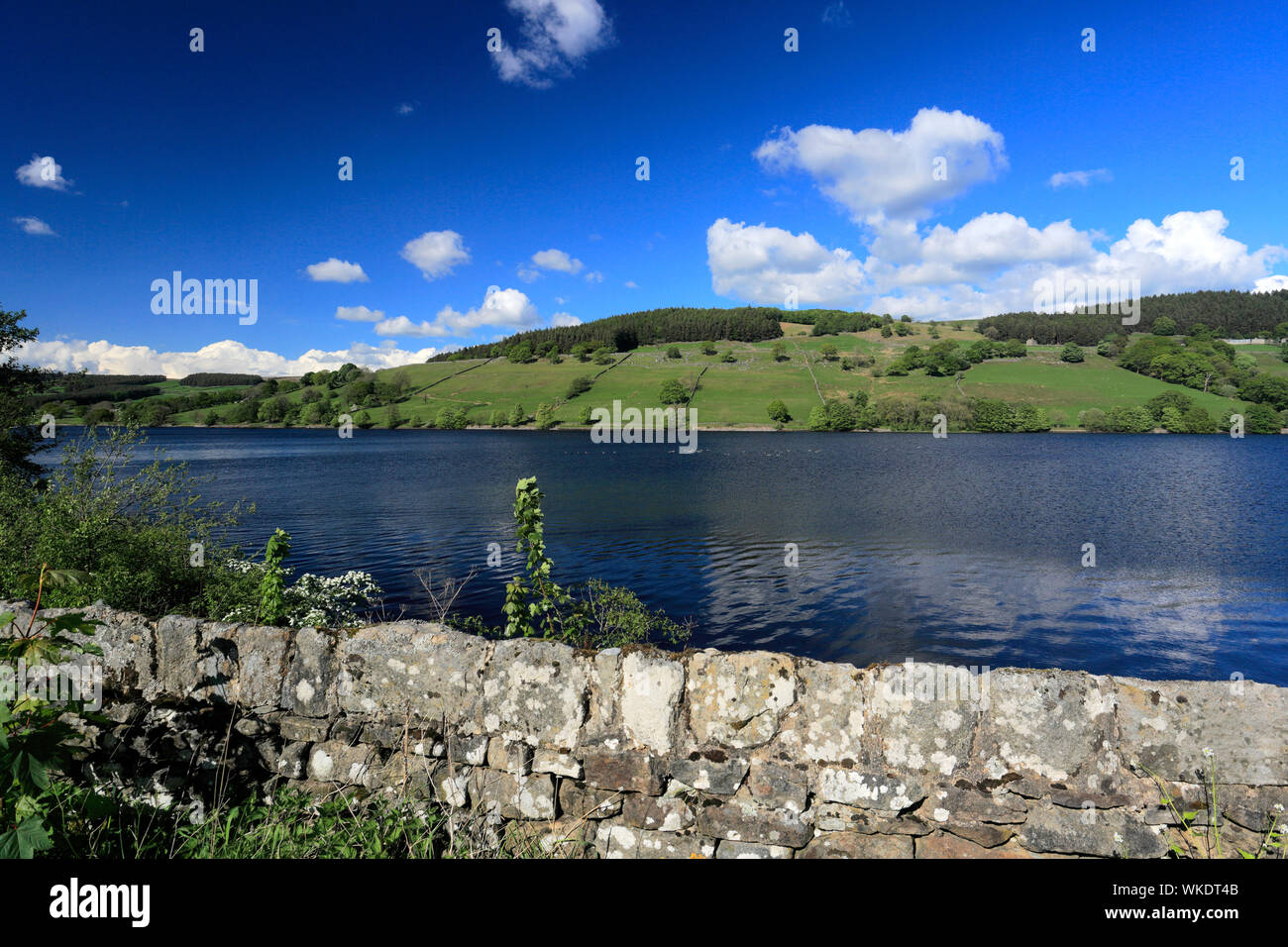 Nidd valley reservoirs hi-res stock photography and images - Alamy