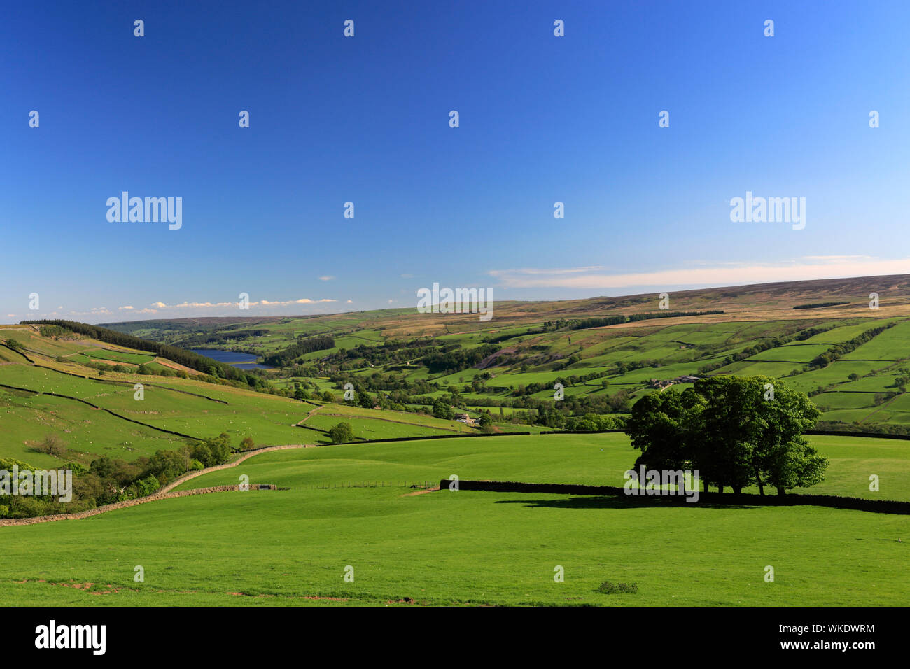 Visit nidd valley hi-res stock photography and images - Alamy