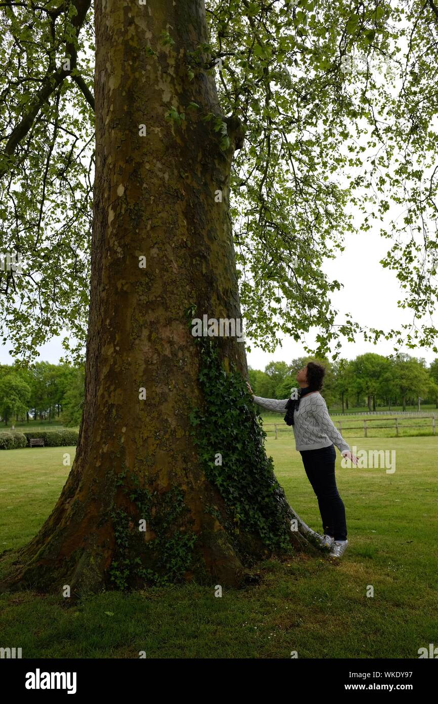 Tiptoeing High Resolution Stock Photography and Images - Alamy