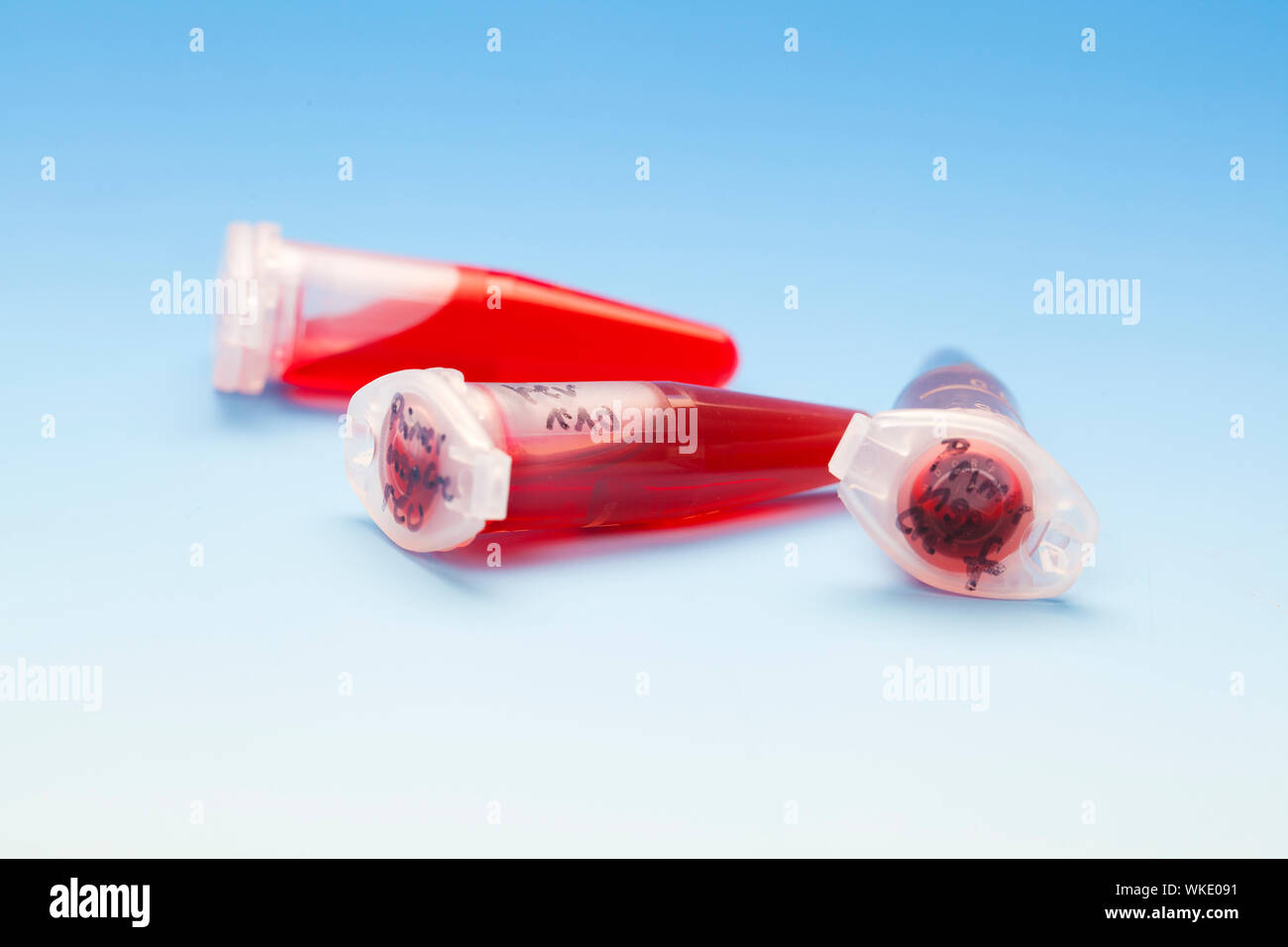 Sample stem cells in hi-res stock photography and images - Alamy