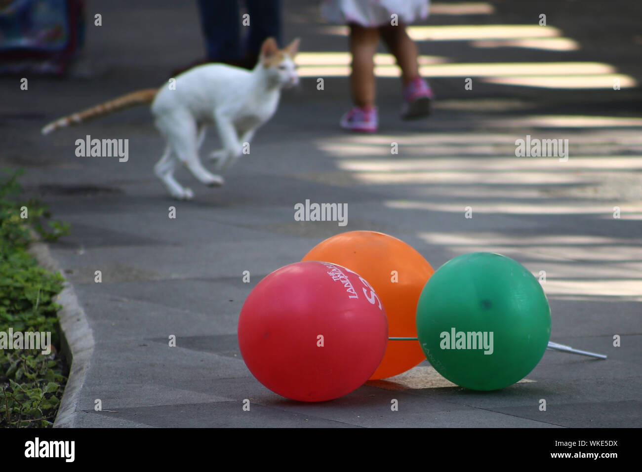 Balloon running hi-res stock photography and images - Alamy