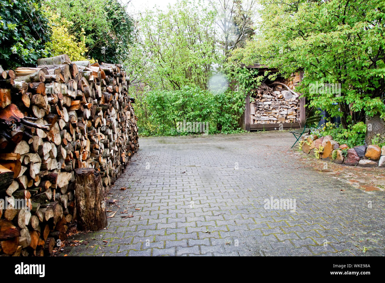 Log walkway hi-res stock photography and images - Alamy