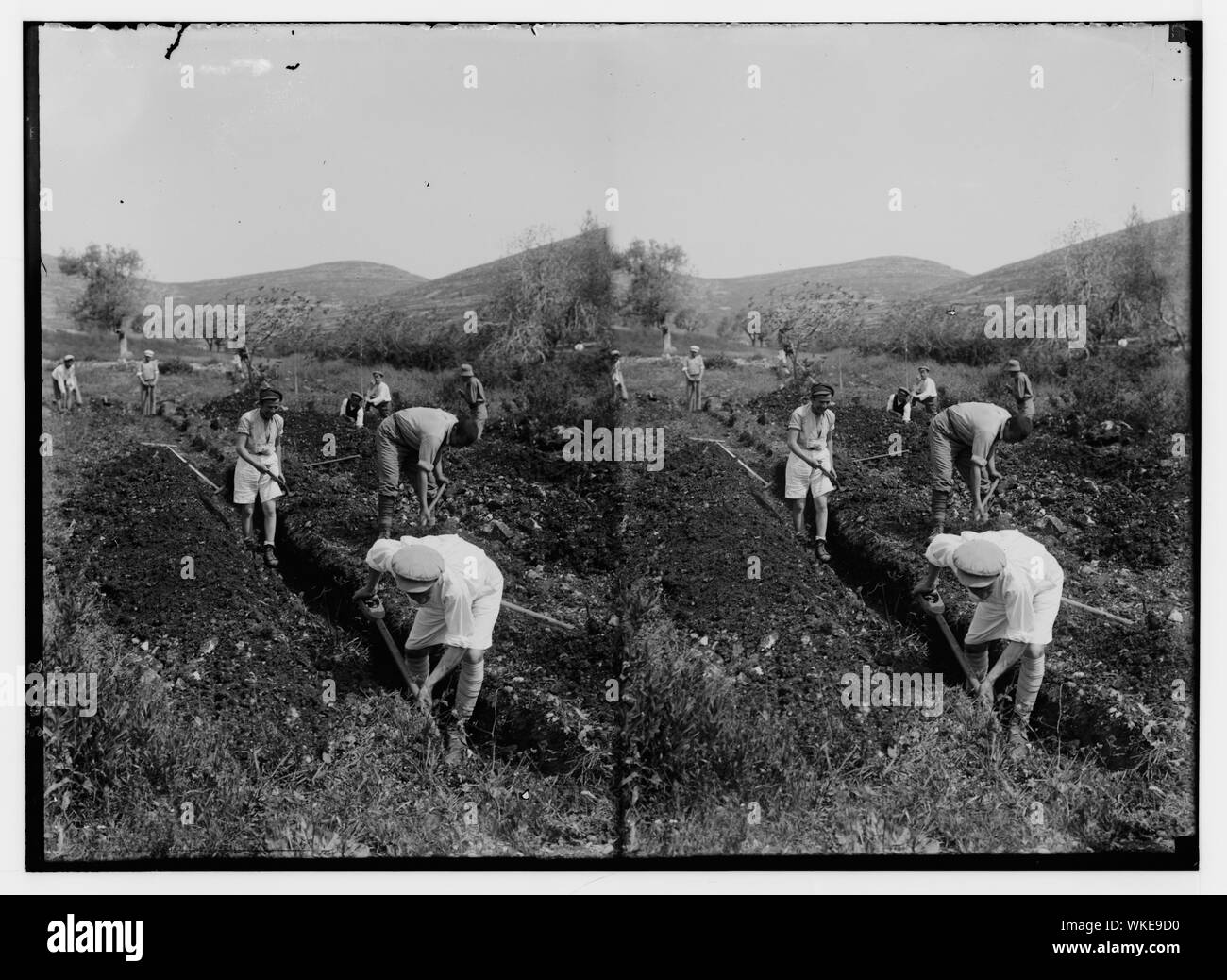 Jewish colonies and settlements. Commencing a Jewish settlement; a camp ...