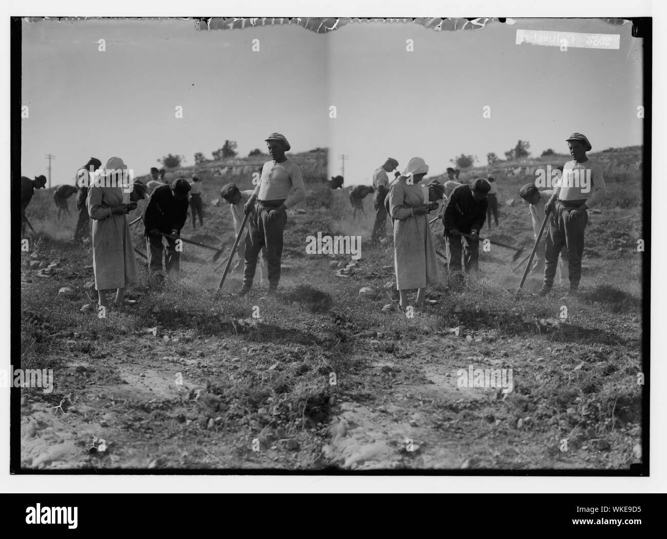 Jewish colonies and settlements. Commencing a Jewish settlement; a camp ...