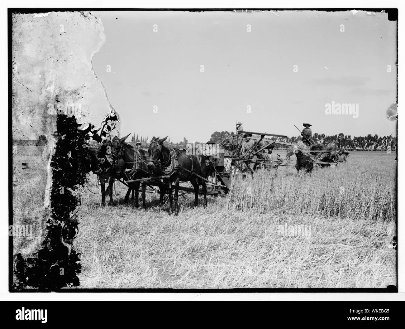Jewish colony Black and White Stock Photos & Images - Alamy
