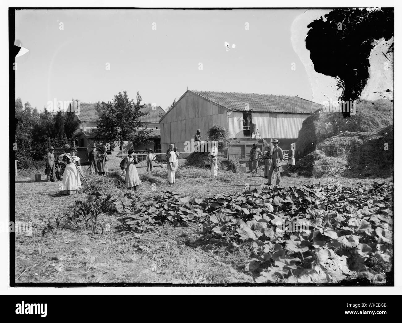 Jewish colony Black and White Stock Photos & Images - Alamy