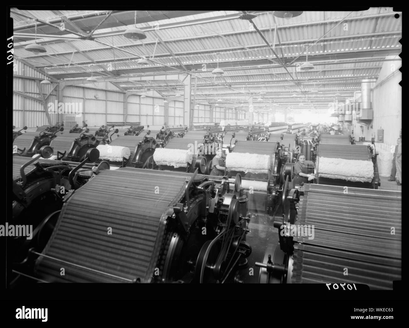Jewish factories in Palestine on Plain of Sharon & along the coast to ...