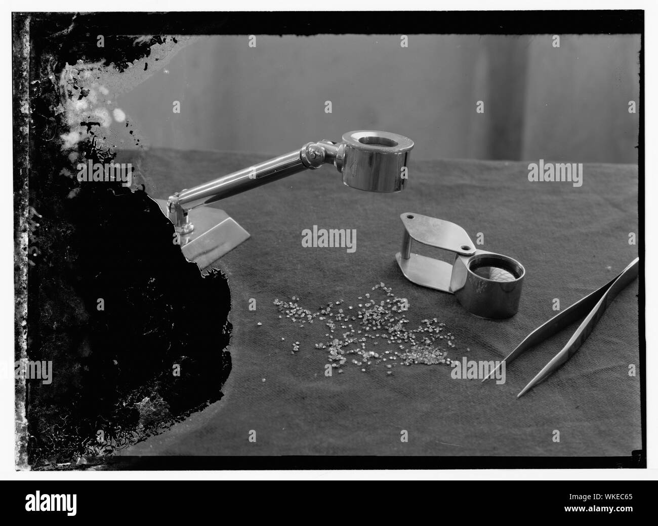 Jewish factories in Palestine and on Plain of Sharon & along the coast ...