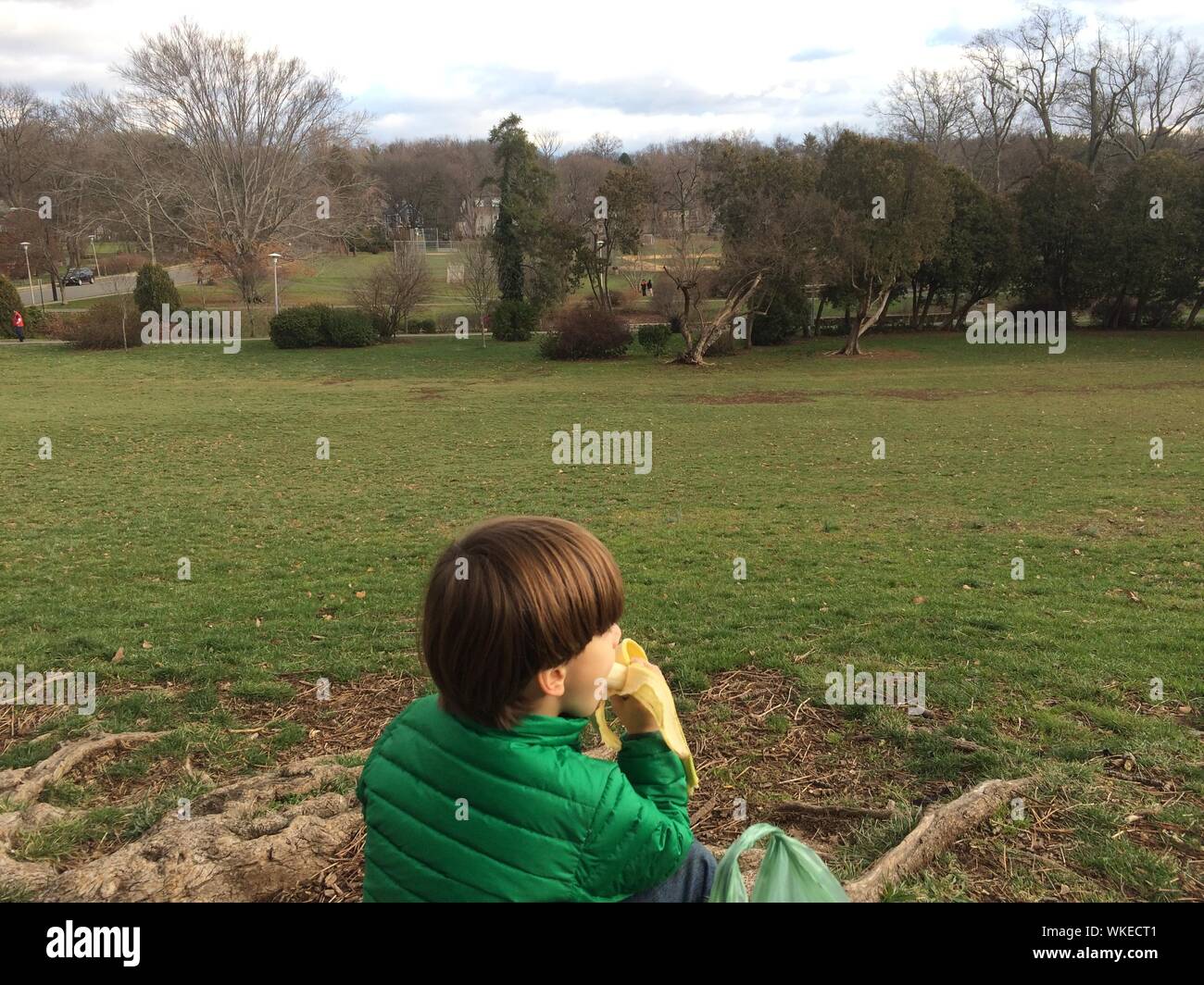 Grass and banana hi-res stock photography and images - Alamy