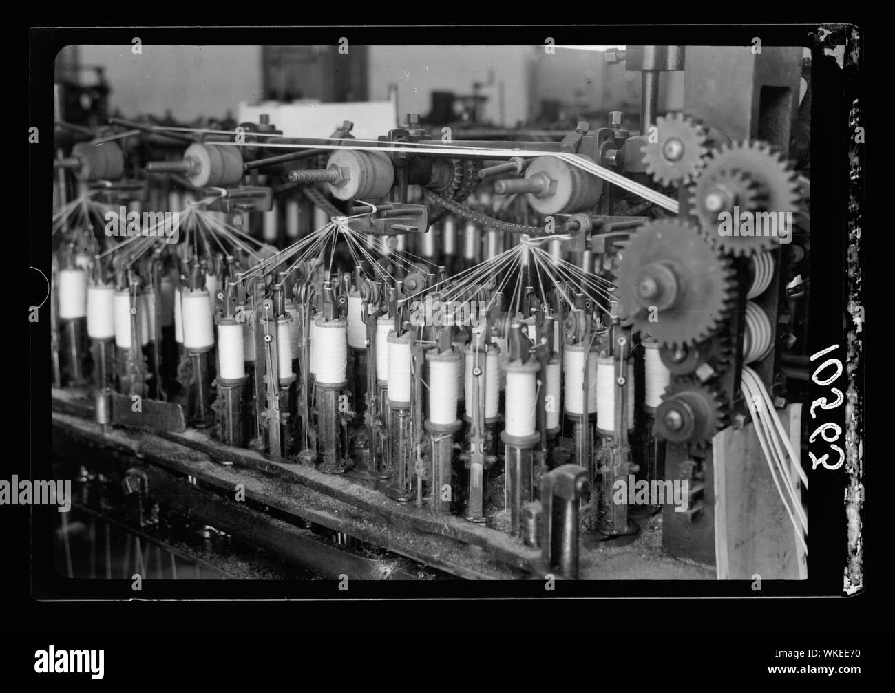 Jewish factories in Palestine on Plain of Sharon & along the coast to ...