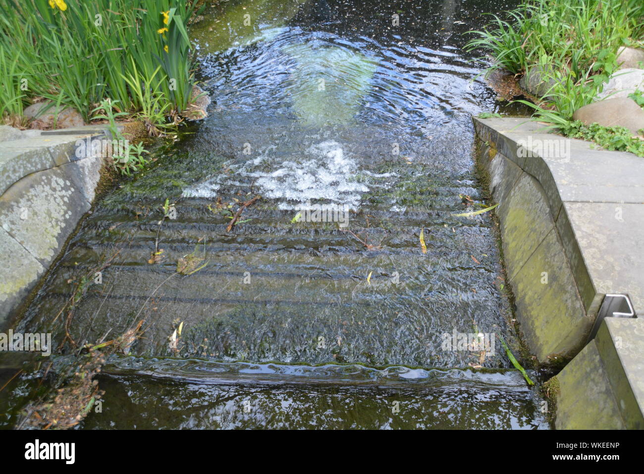 Water steps hi-res stock photography and images - Alamy