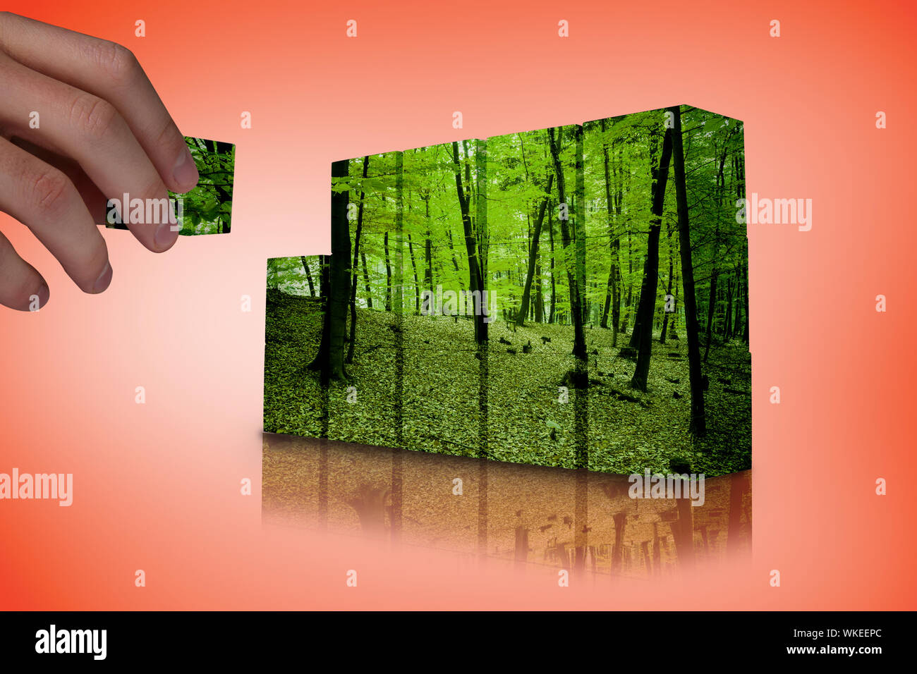 Hand building wall showing trees in the autumnal forest Stock Photo - Alamy