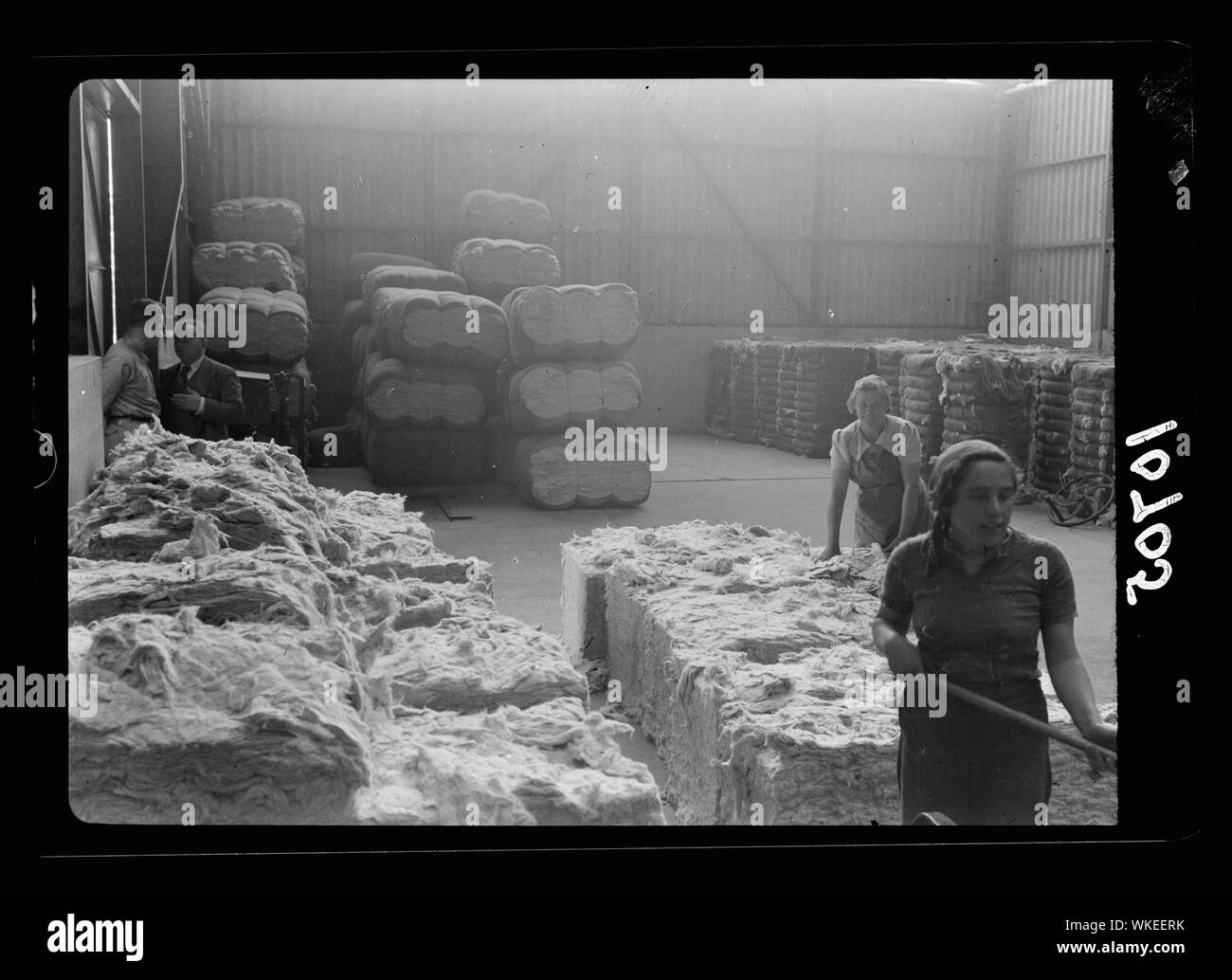 Jewish factories in Palestine on Plain of Sharon & along the coast to ...