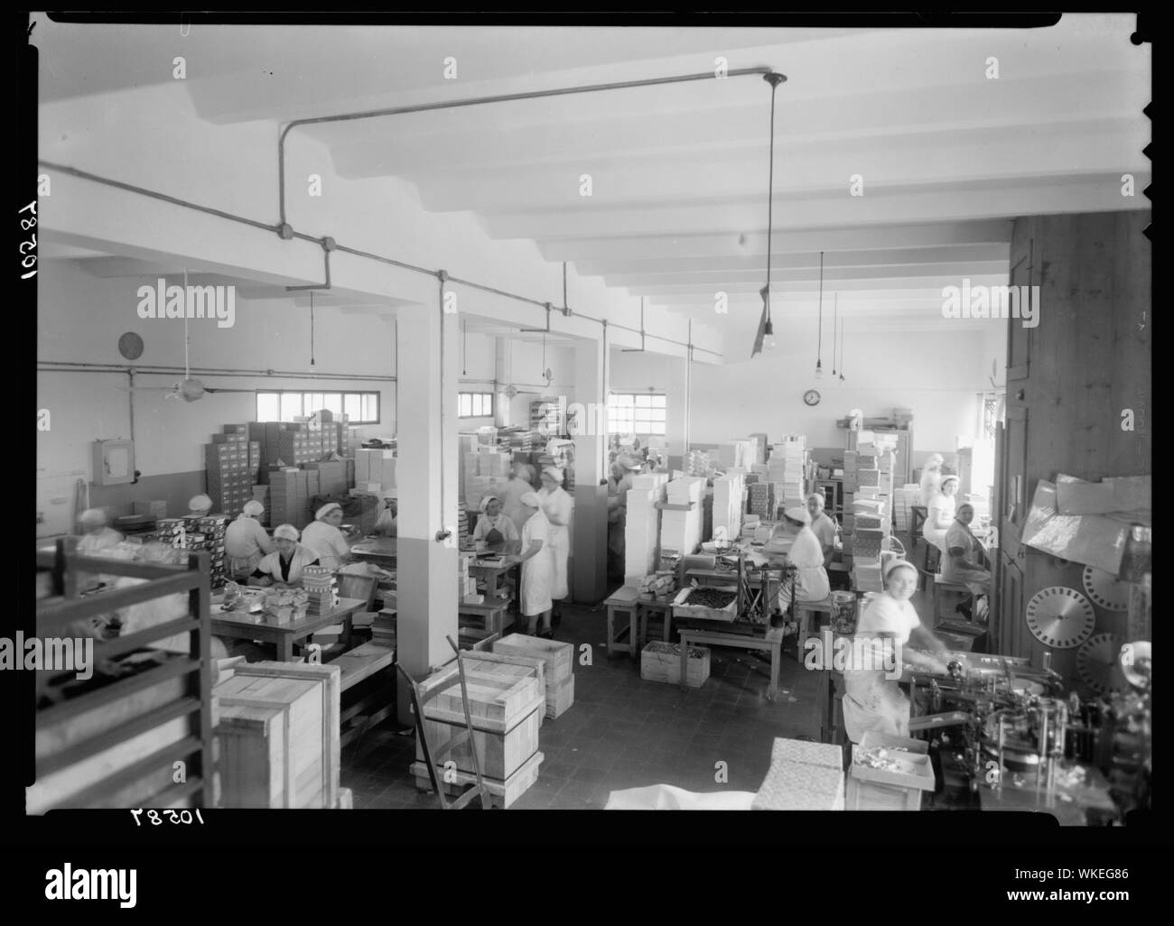 Jewish factories in Palestine on Plain of Sharon & along the coast to ...